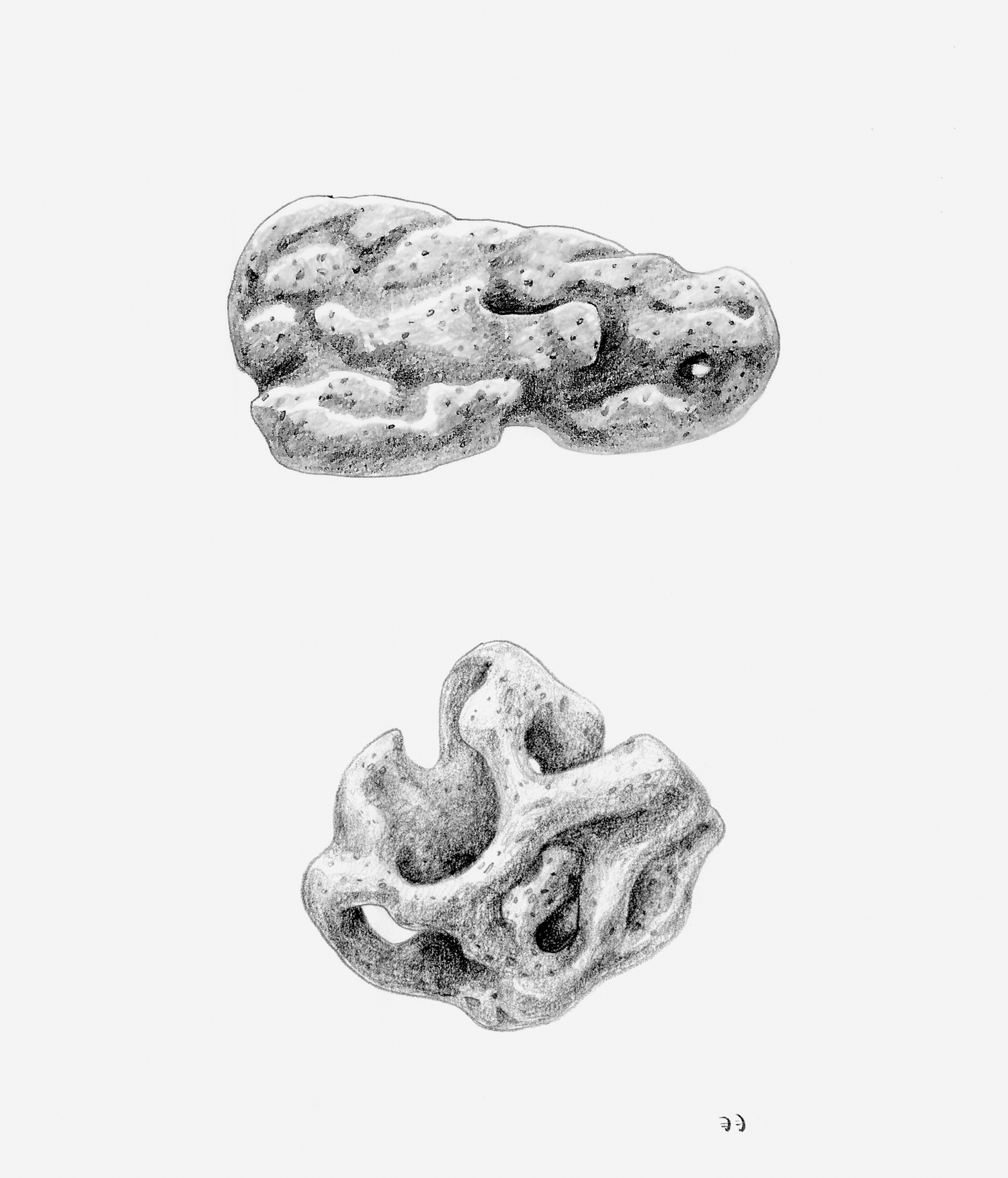 Coral Dictionary--An Interpretation Performance - Amant